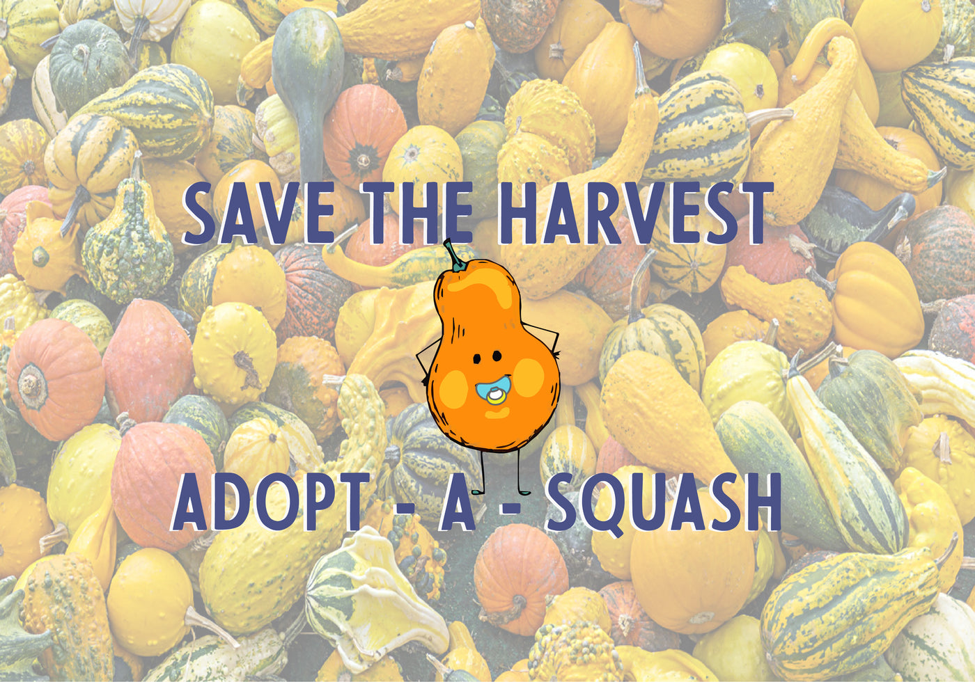 Great Basin Food Co Op